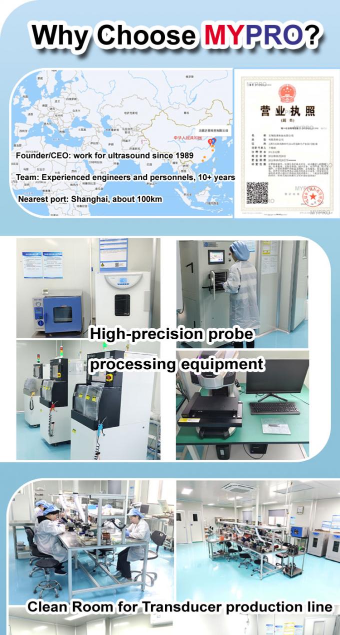 GE Vivid E90 Ultrasound Human Phased Array Probe Transducer GE 6S-D ...